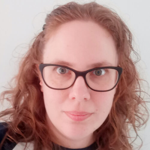 The Team - Impetus4cs - Impetus For Citizen Science Project